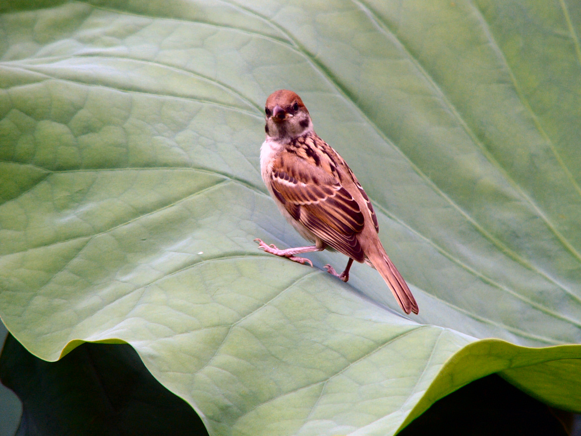 A visit to Taiwan - page 8