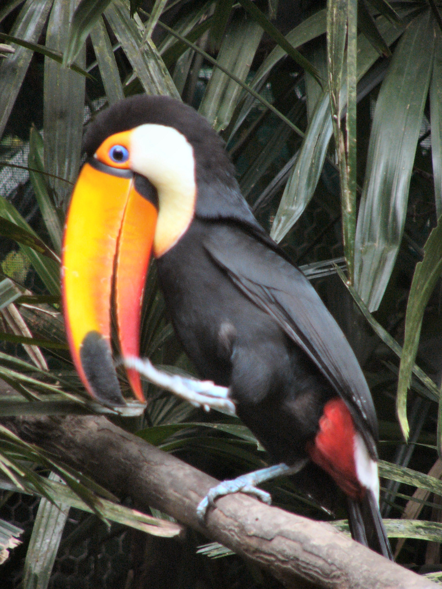 A visit to Taiwan - page 8